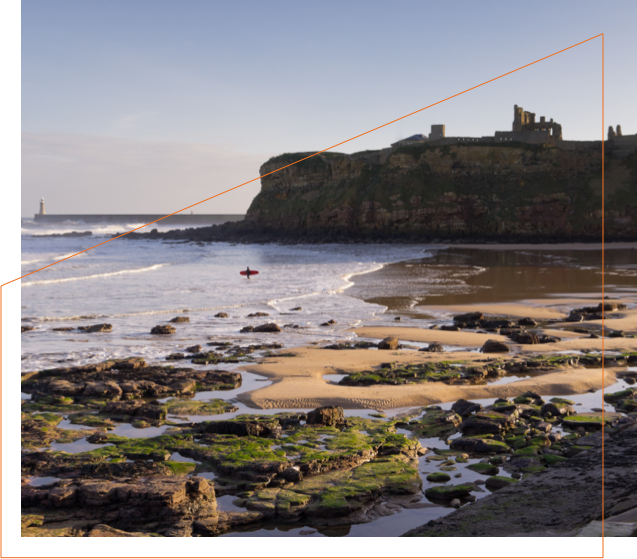 Jan Forster Estates | Jan Forster Estates - The difference between ...